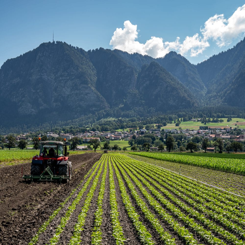 Bürgergemeinde Zizers