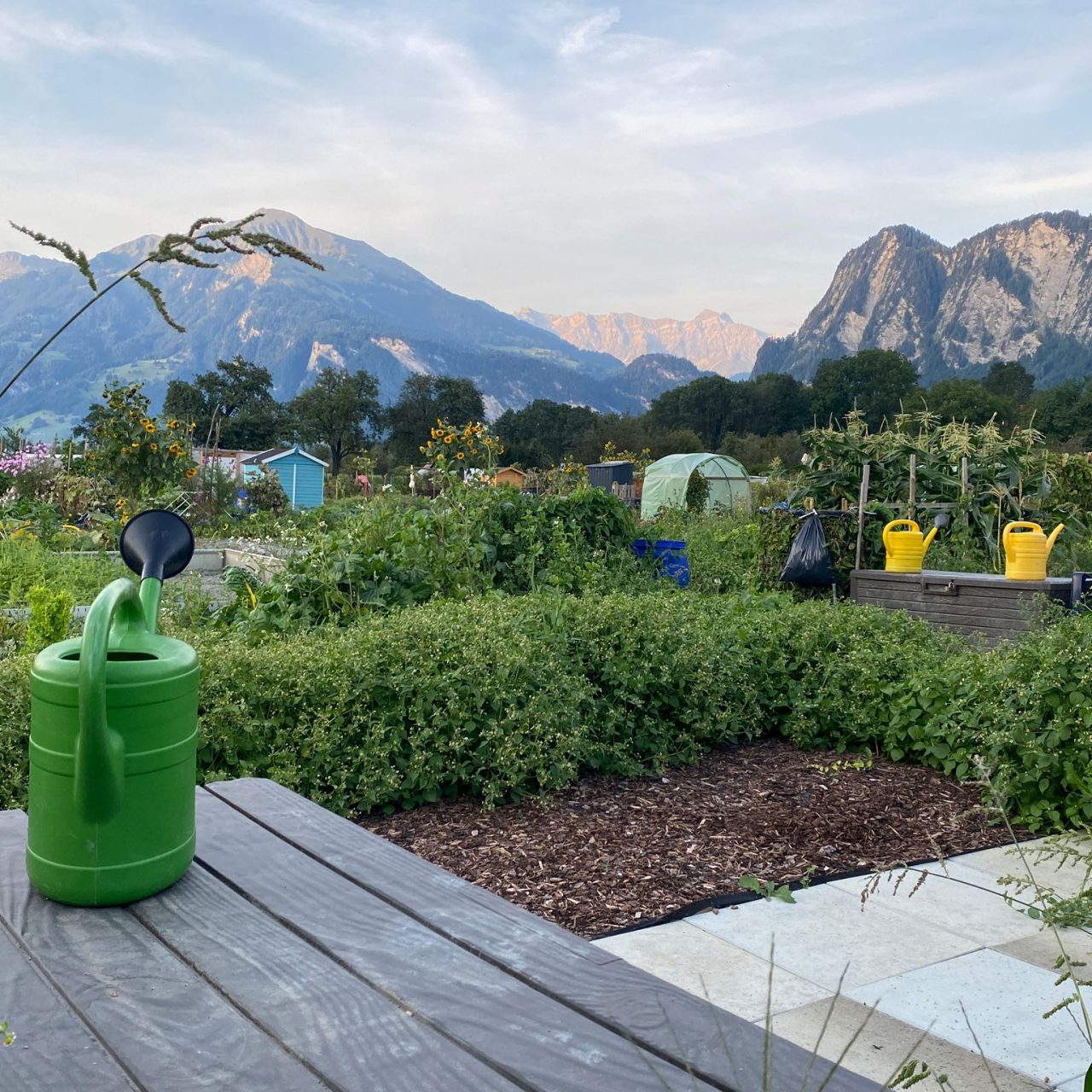 Bürgergemeinde Zizers